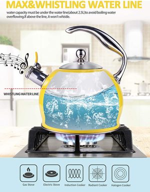 Susteas Tea Kettle Review - Kettle Reviews